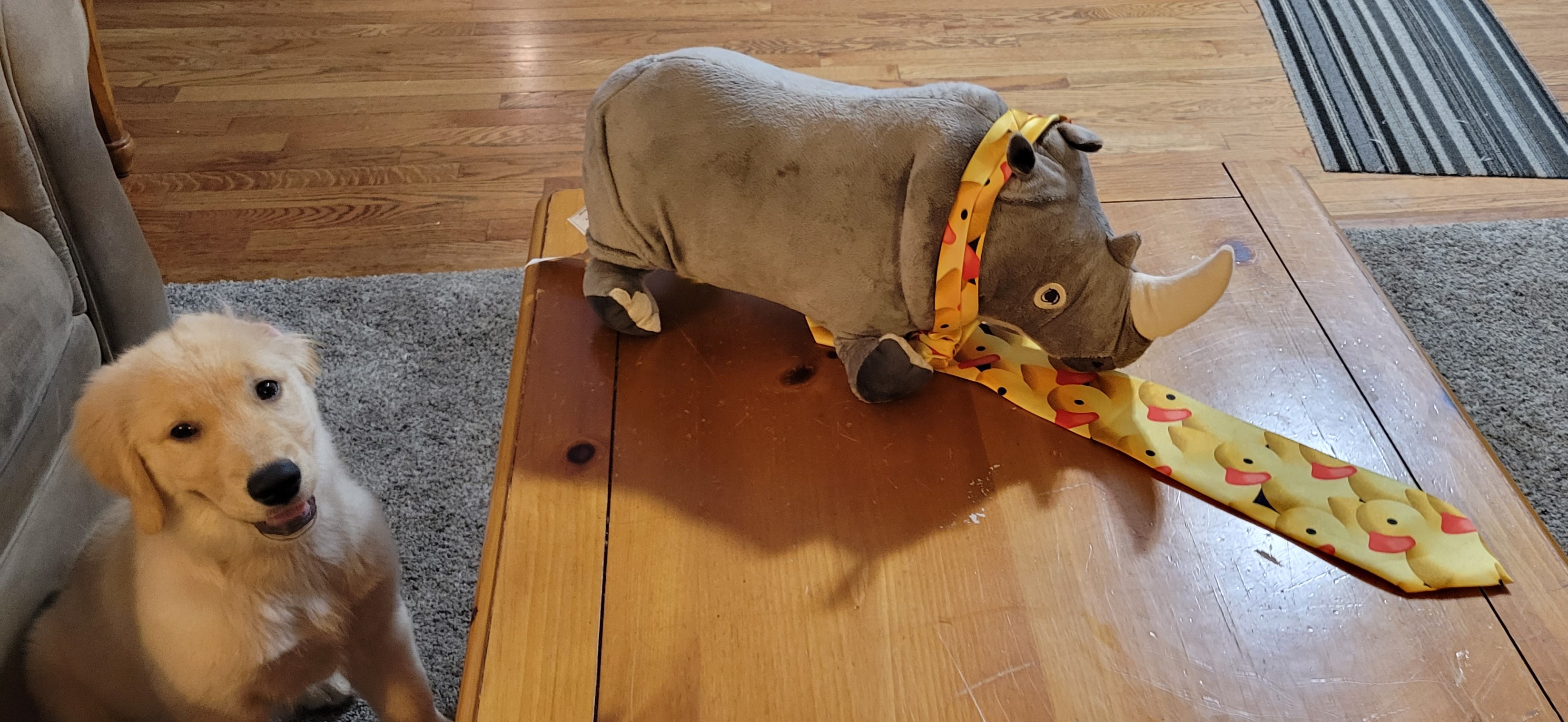 Crossing Streams – Rhino Ramblings