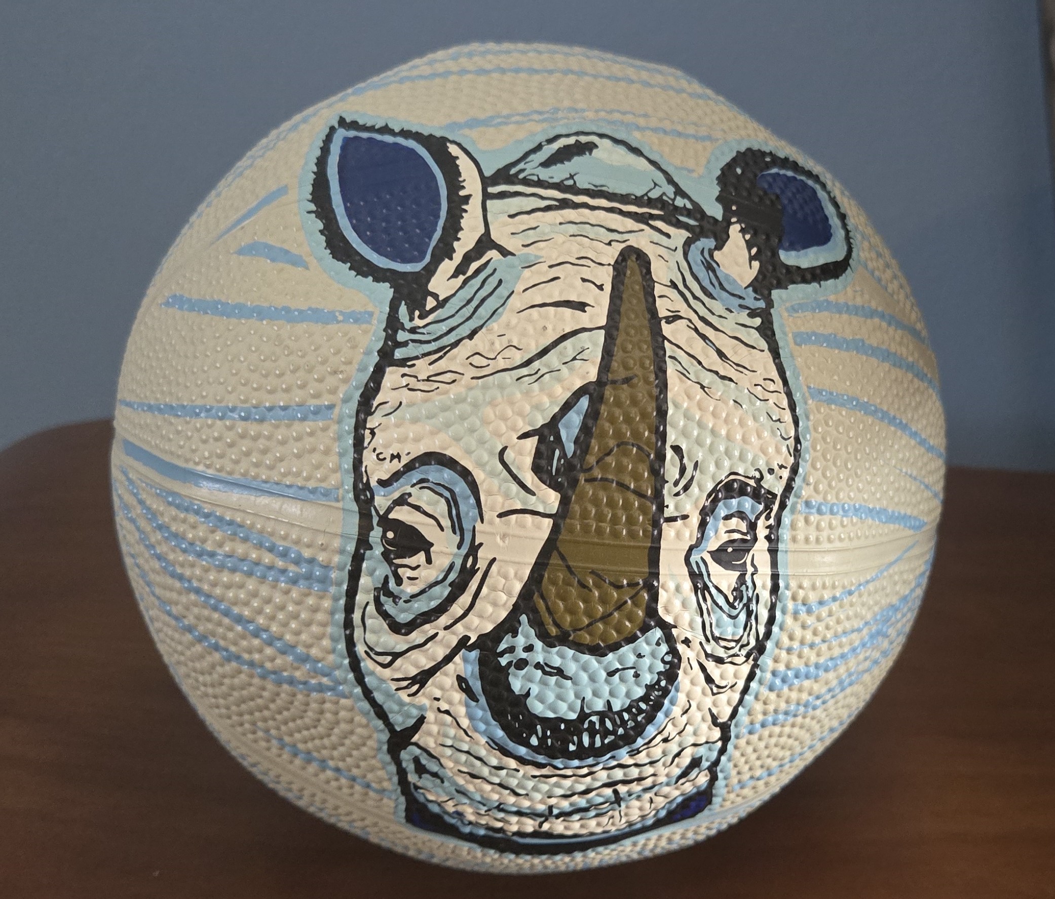 Put Me in Coach – Rhino Ramblings